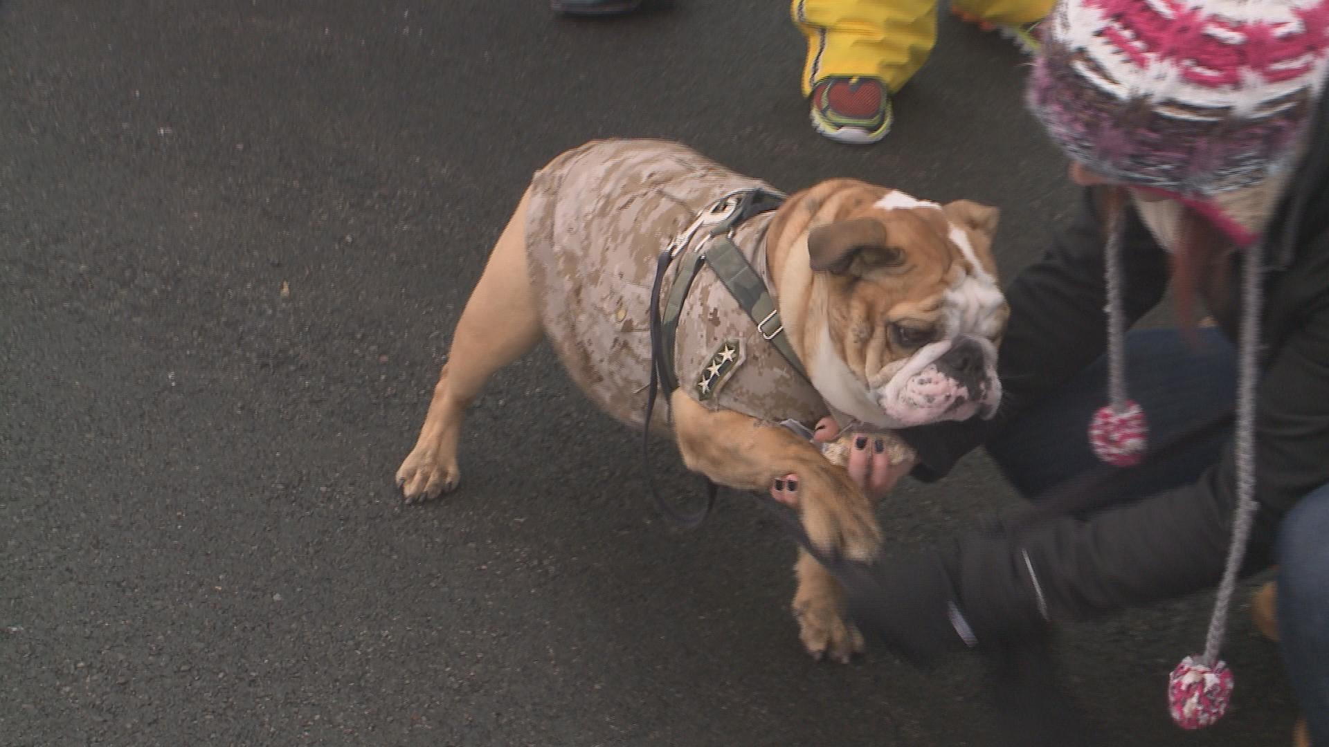 Parade Marks St. Paddy's Day in Old First Ward | wgrz.com