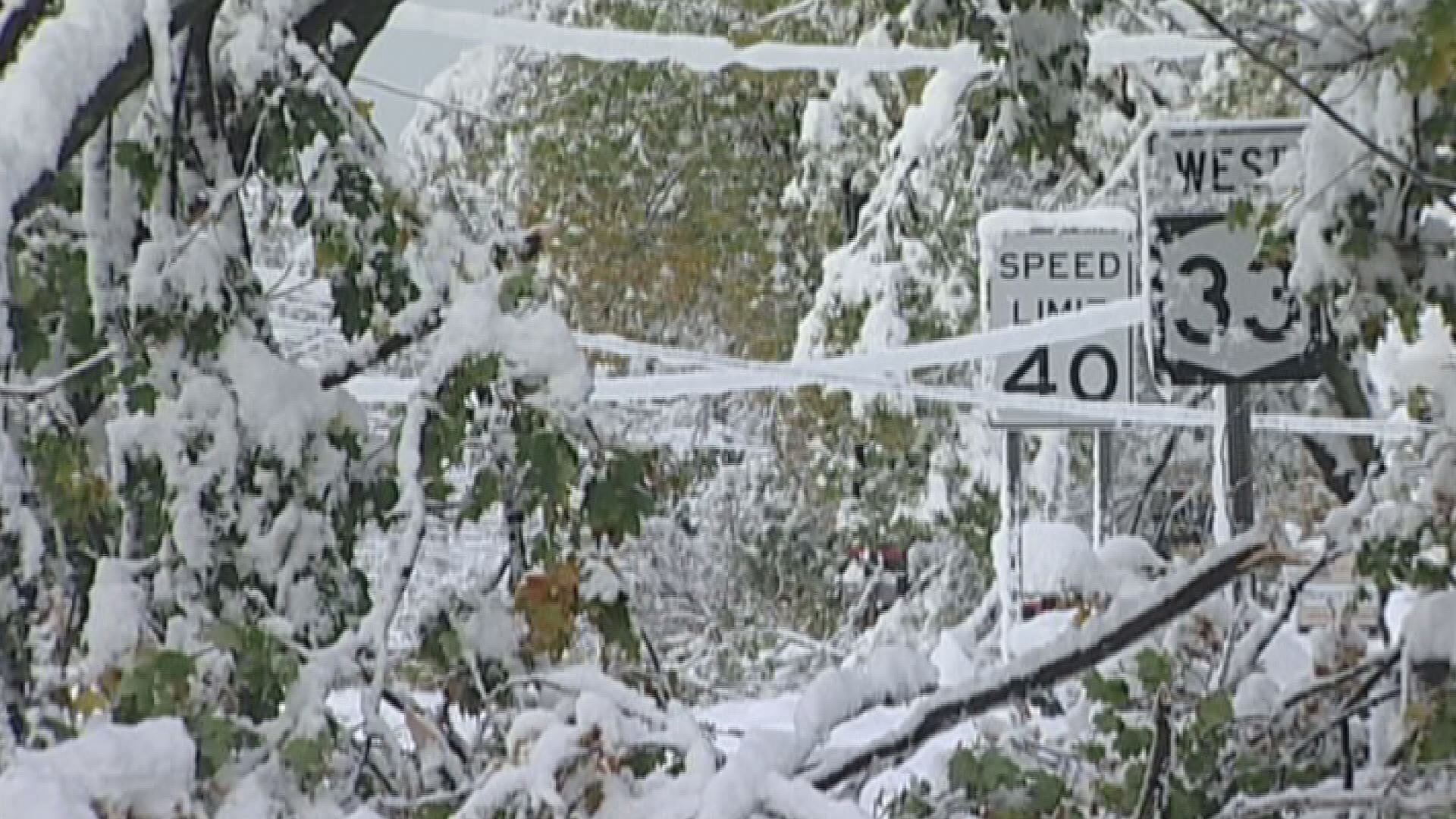 Many trees did survive 'October Surprise' 8 years ago | wgrz.com