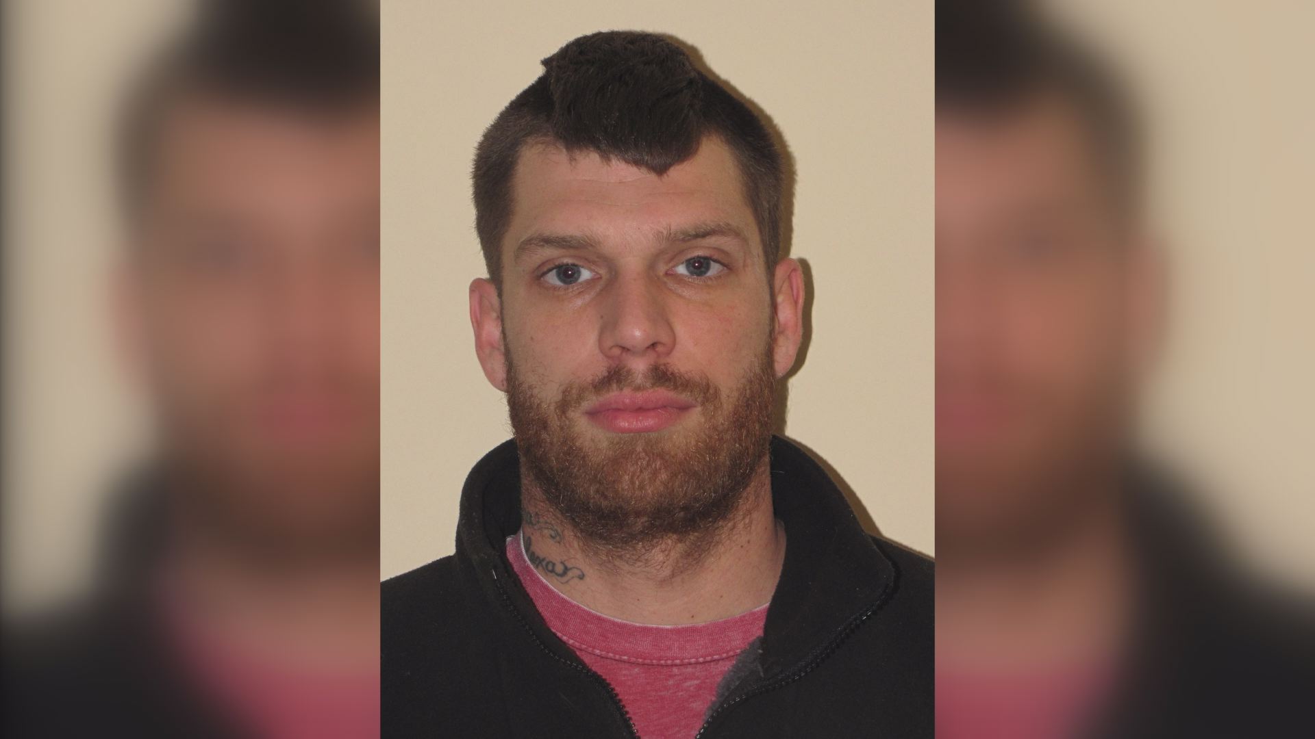Hamburg police searching for man charged with criminal sexual act ...