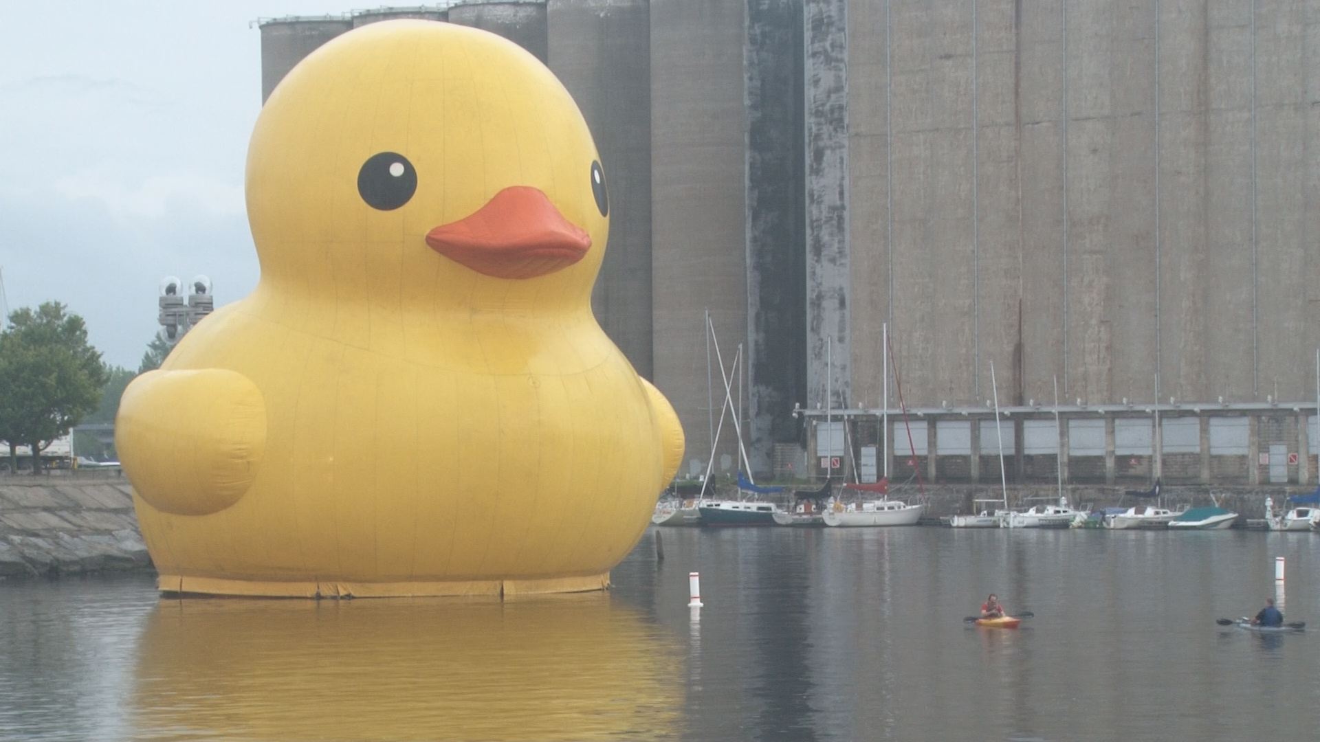 Look: The world's largest rubber duck nesting in Buffalo | wfaa.com