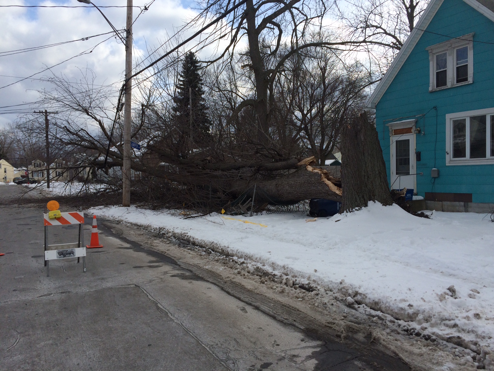 Tree causes wires down in S. Buffalo | wgrz.com